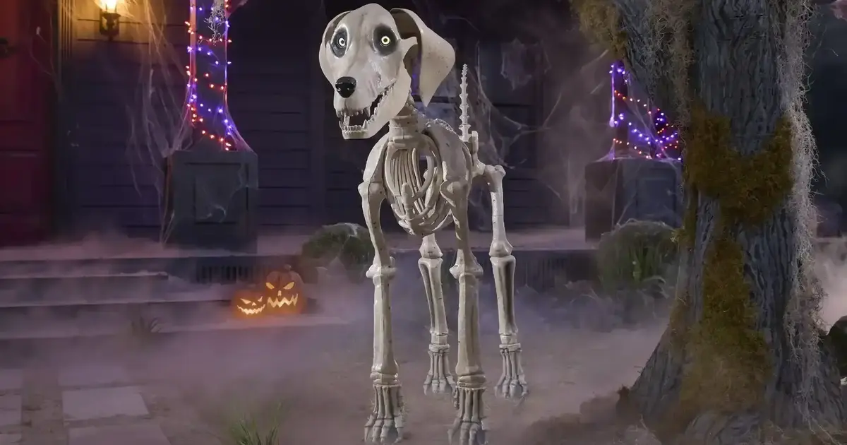 Your Favorite 12-Foot Skeleton Now Has a 7-Foot Best Friend