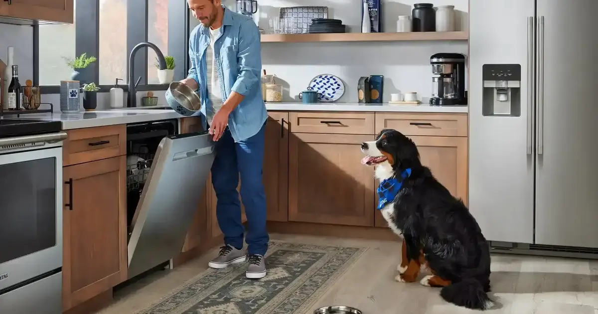 The Why and How Behind Washing Pet Food and Water Bowls