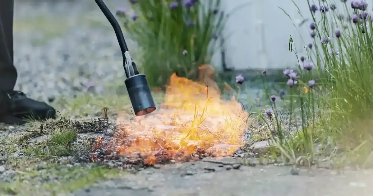 The Difference Between Butane and Propane