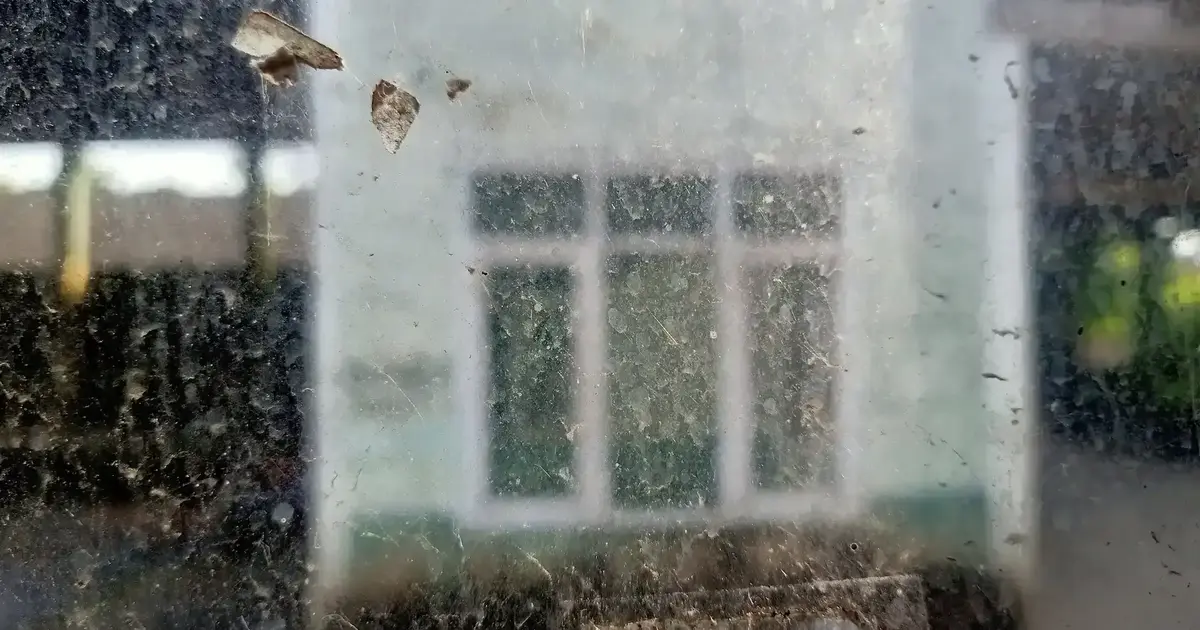 How to Clean Storm Windows — Before and After a Big Storm