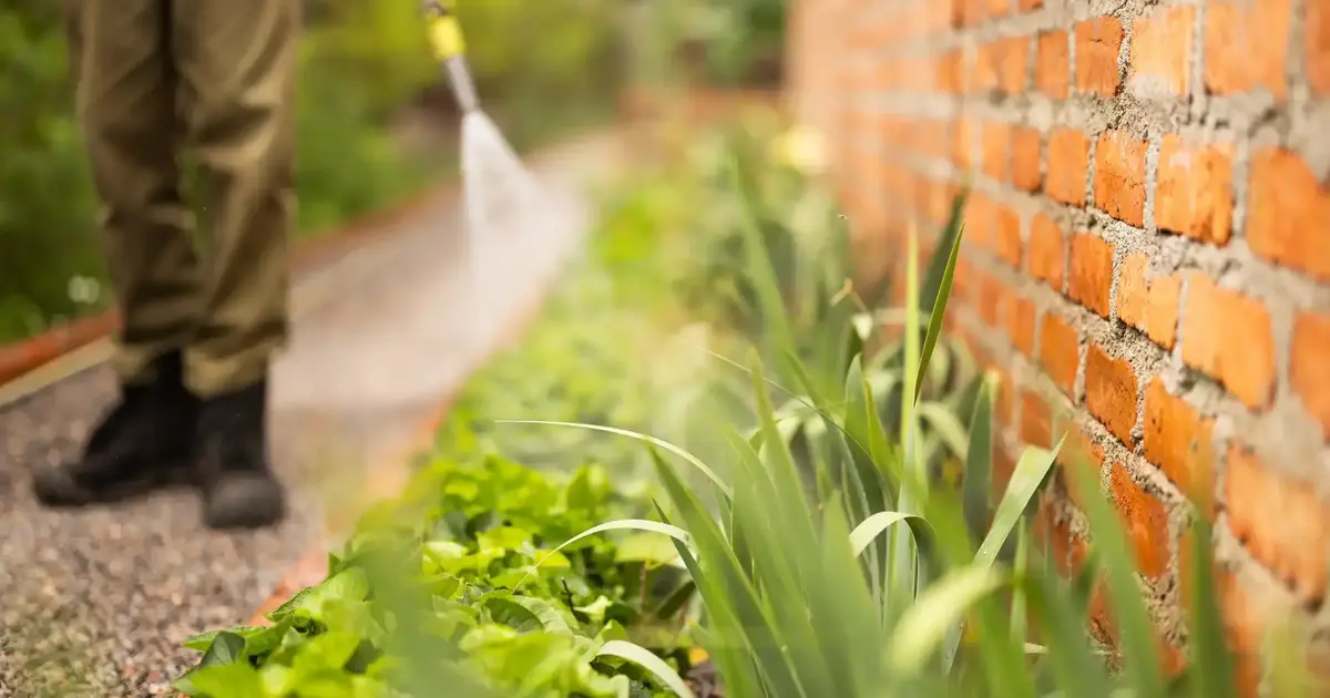 How to Use Perimeter Pest Control Products