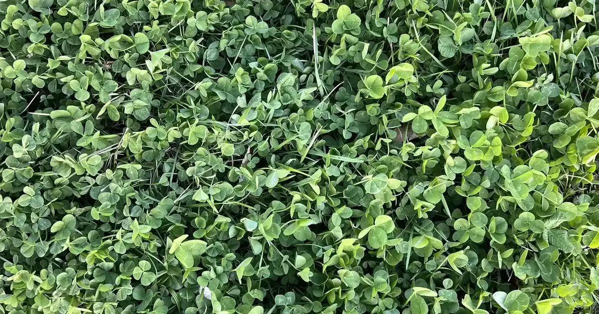 Emily Fazio - Journalist Profile - Intelligent Relations