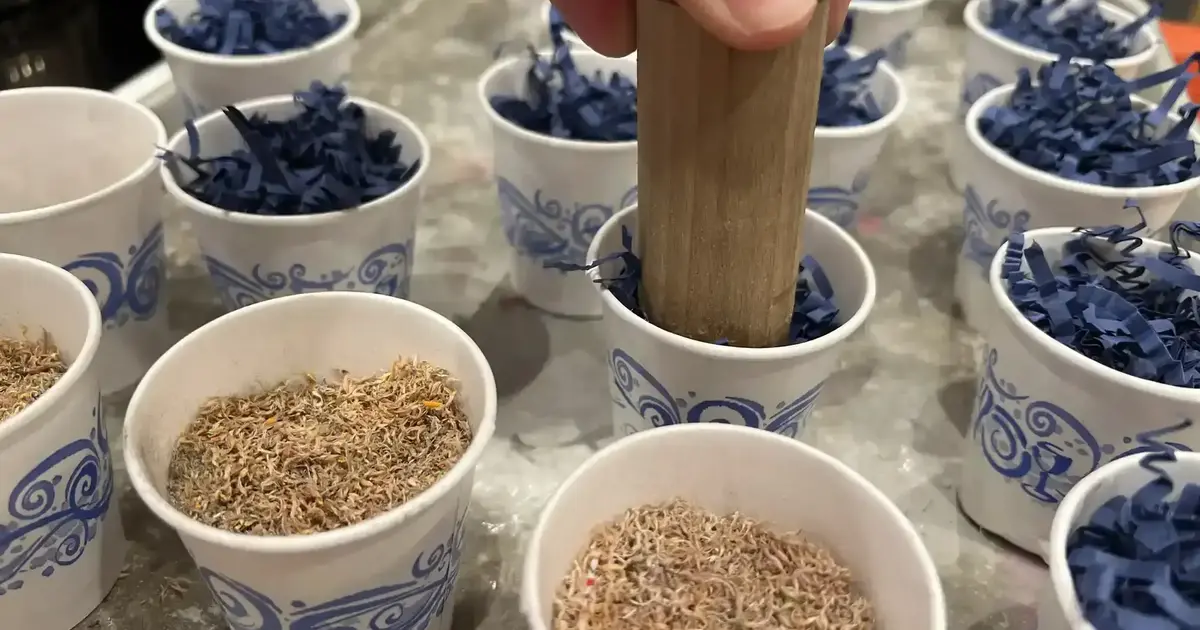 How to Make the Best Fire Starters—Using Household Items