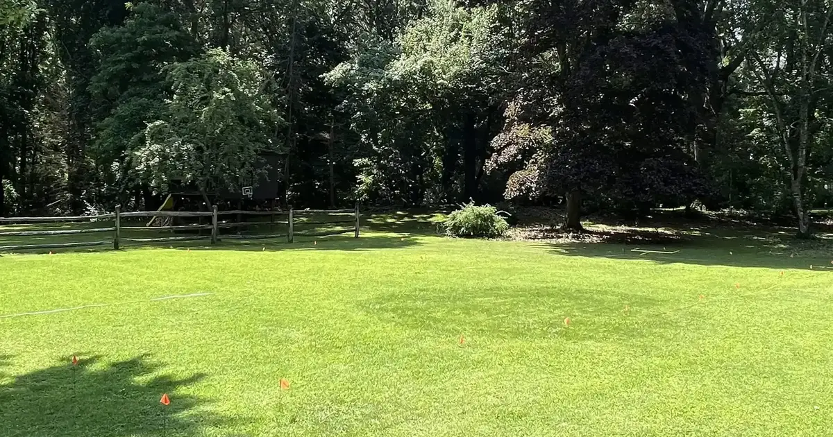 How to Blend Mismatched Patches of Grass in Your Yard