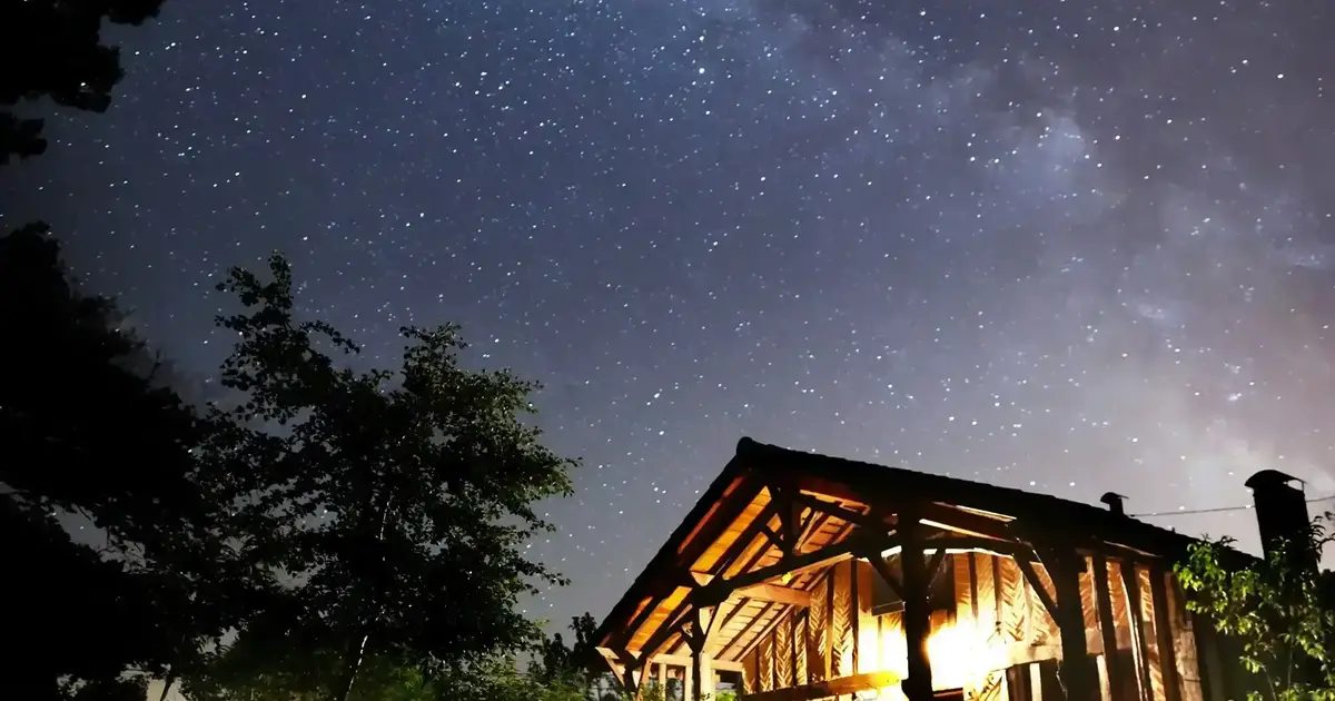 How to Design and Plan Your Outdoor Landscape Lighting