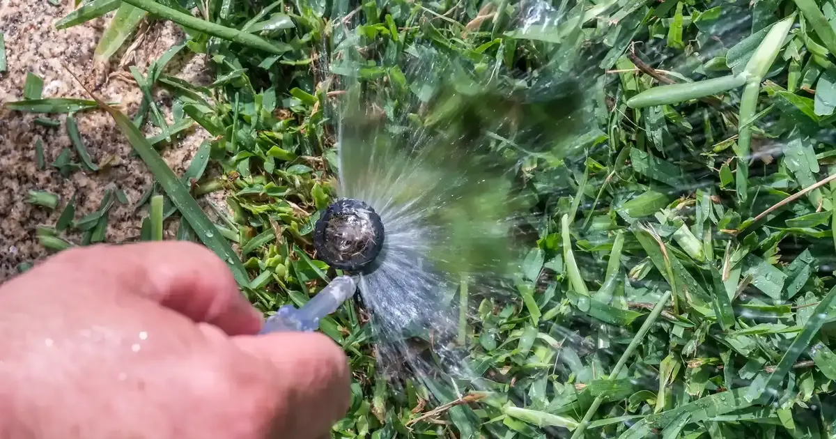 How to Adjust Your Irrigation System for Seasonal Shifts